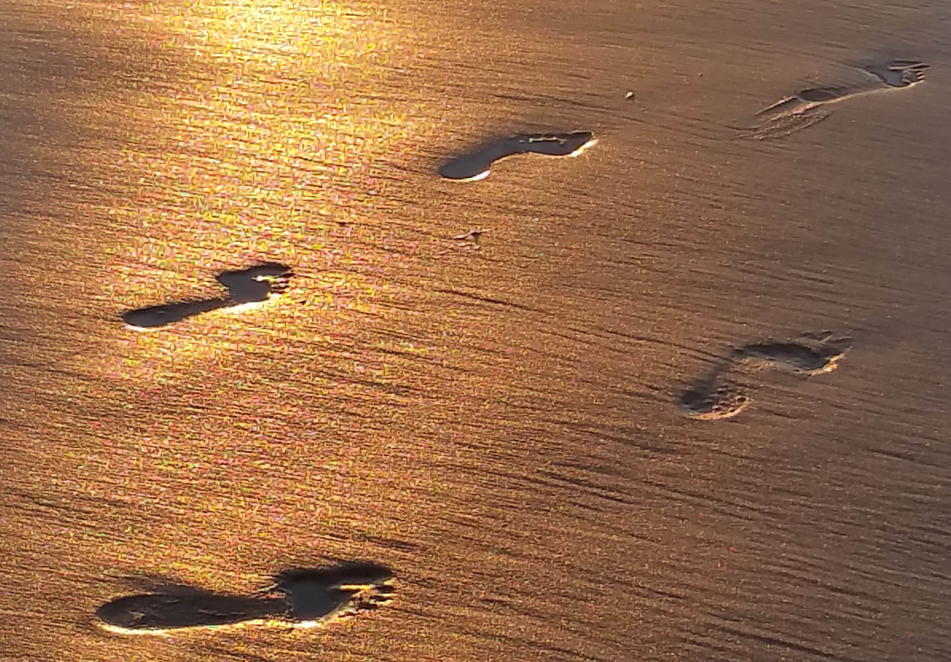 Pflegeeltern hinterlassen Spuren bei den ihnen anvertrauten Kindern...